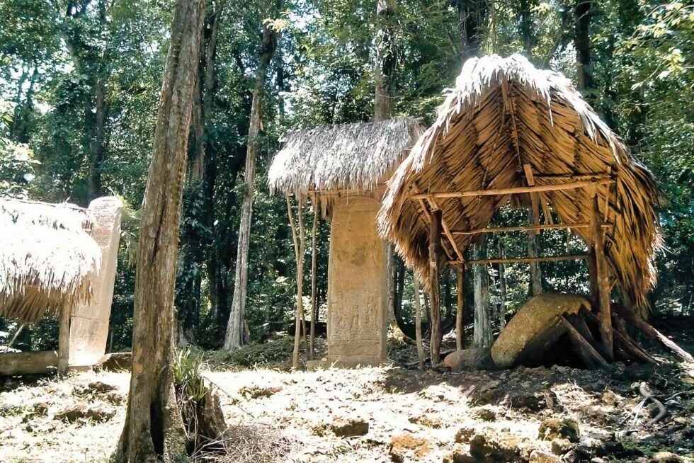 El Peru Jungle Tour | Guatemala Adventure & Nature Tours